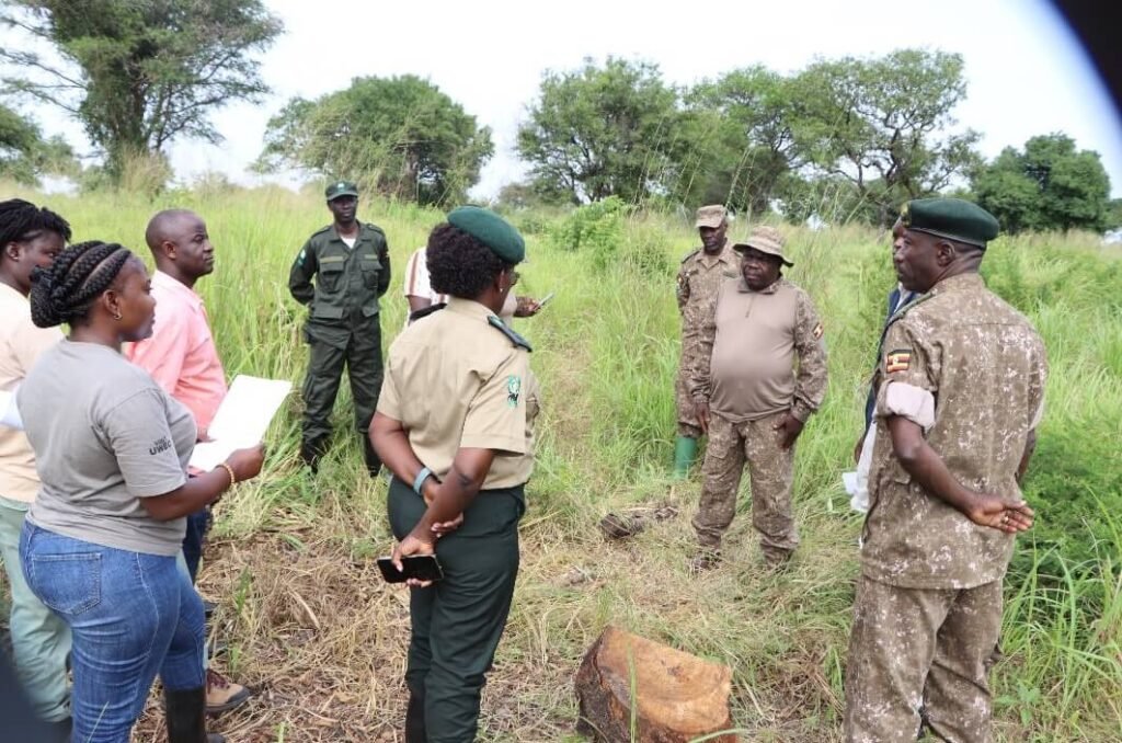 Ajai Wildlife Reserve Rhino Reintroduction Planned for August 2025